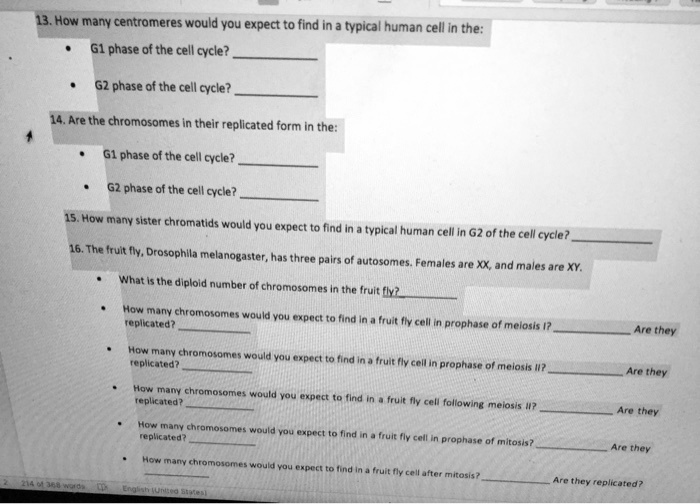 13 how many centromeres would you expect to find in a typical human ...