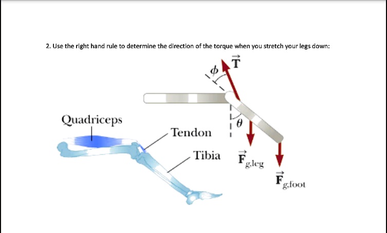 SOLVED: Use the right hand rule to determine the direction of the ...