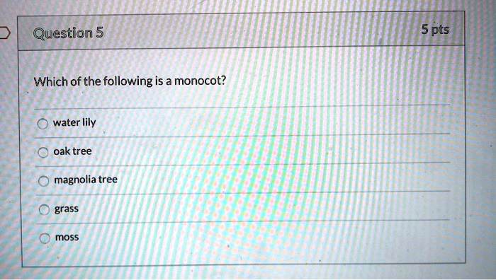 SOLVED: Question 5 5 pts Which of the following is a monocot? water ... SOLVED: Question 5 5 pts Which of the following is a monocot? water ...