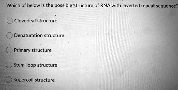 which of below is the possible structure of rna with inverted repeat ...