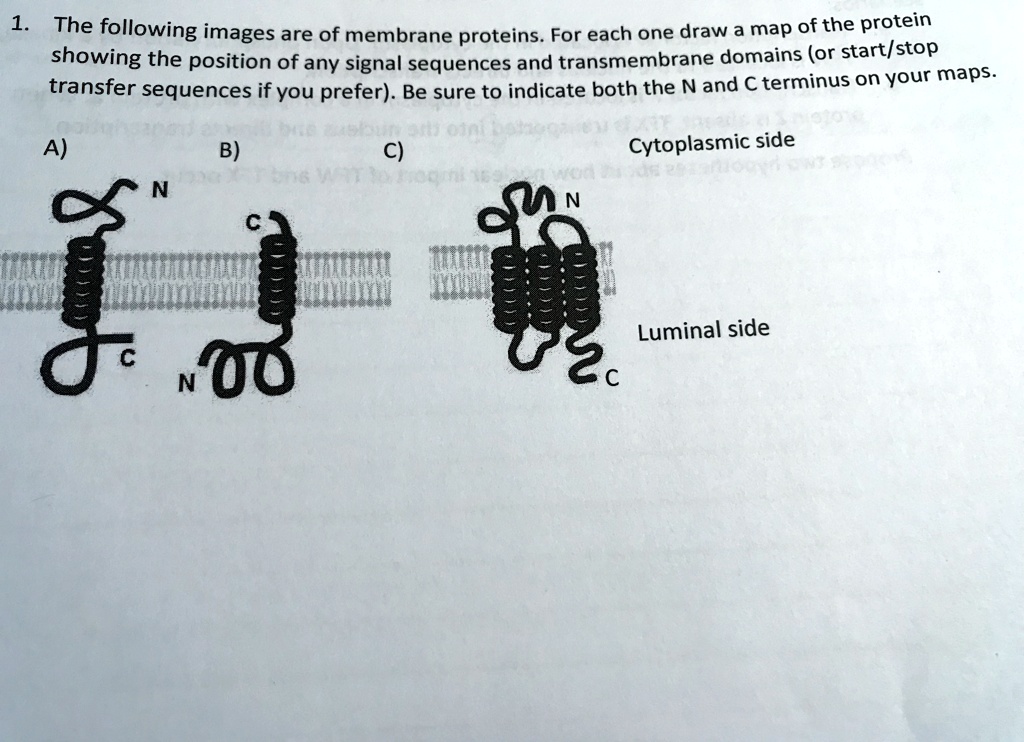 1. The following images are of membrane proteins. For each one draw a ...