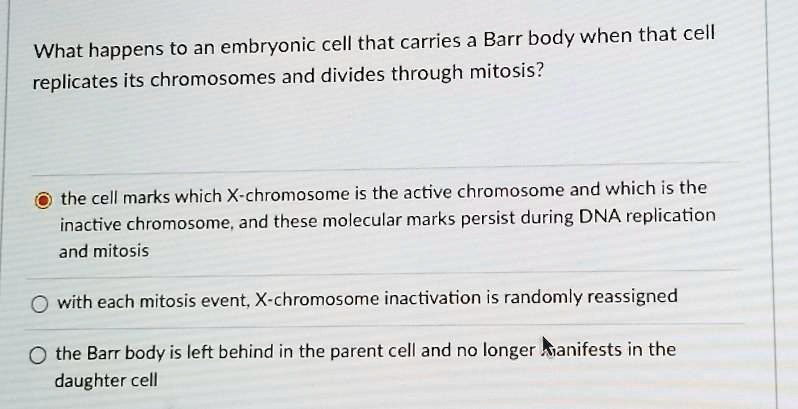 what happens to an embryonic cell that carries a barr body when that ...