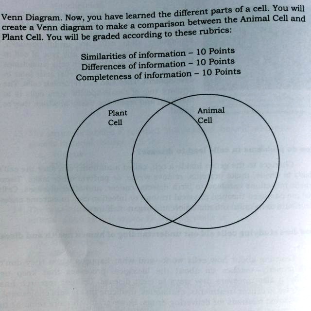 SOLVED: "Help me answer this I give briliant answer different parts of ...