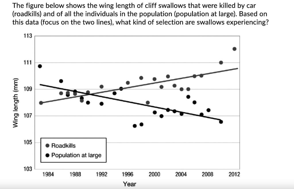 The figure below shows the wing length of cliff swallows that were ...