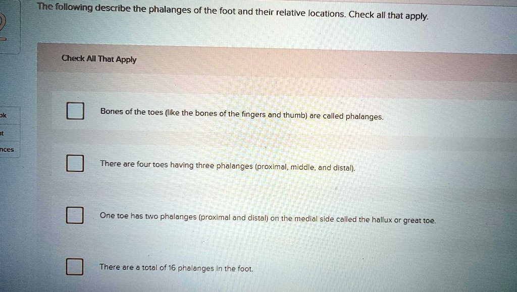 The following describe the phalanges of the foot and their relative ...
