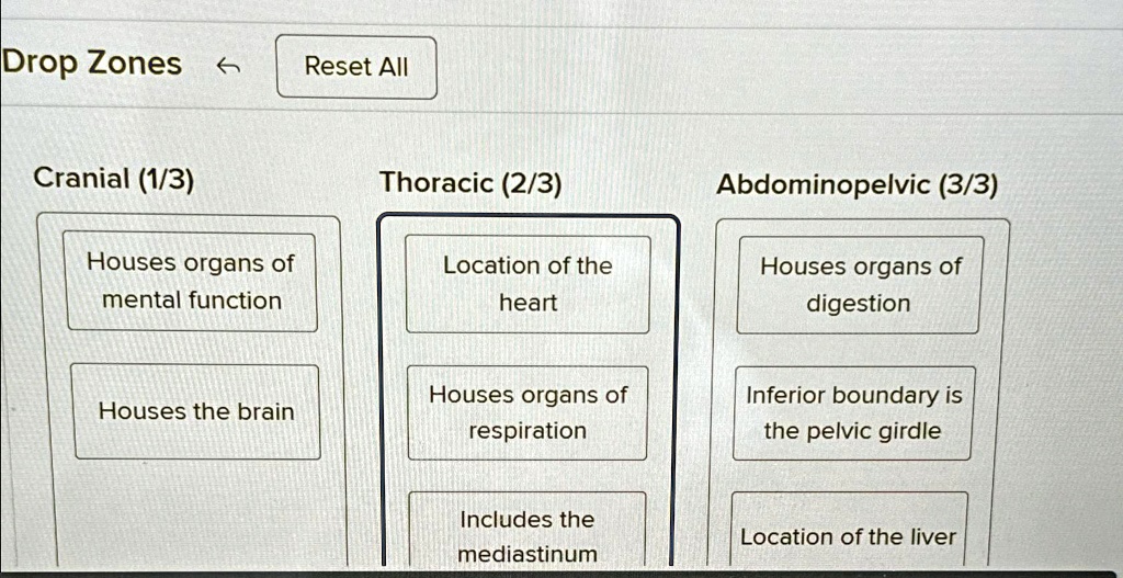 Drop Zones Reset All Cranial (1/3) Thoracic (2/3) Abdominopelvic (3/3 ...