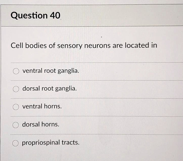 SOLVED: Cell bodies of sensory neurons are located in: - Ventral root ...