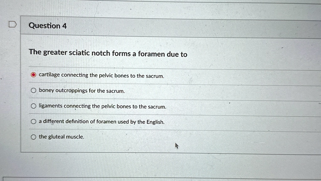 question 4 the greater sciatic notch forms a foramen due to cartilage connecting the pelvic ...