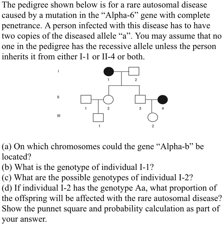 The pedigree shown below is for a rare autosomal disease caused by a ...