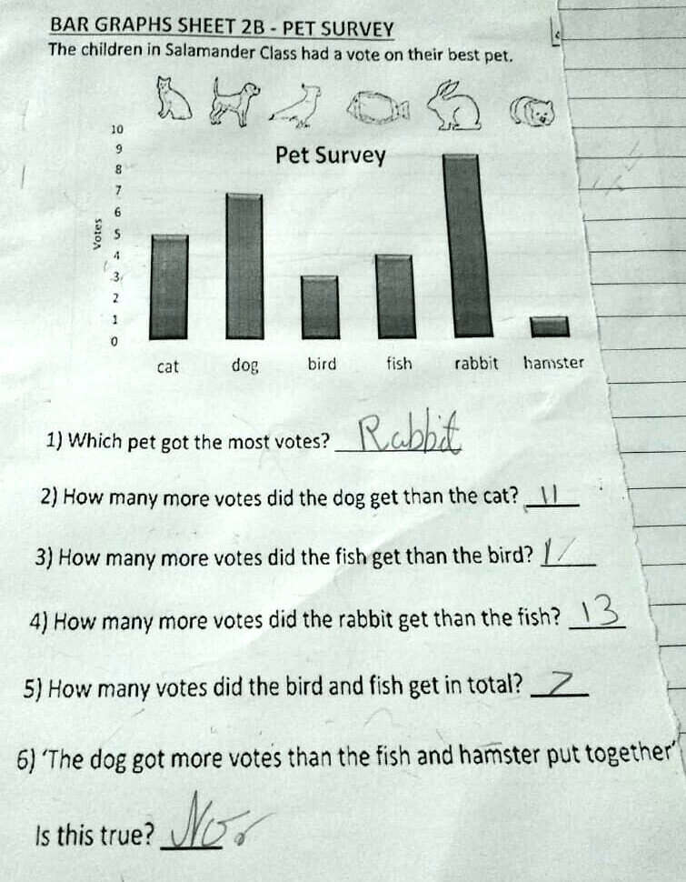 BAR GRAPHS SHEET 2B - PET SURVEY The children in Salamander Class had a ...