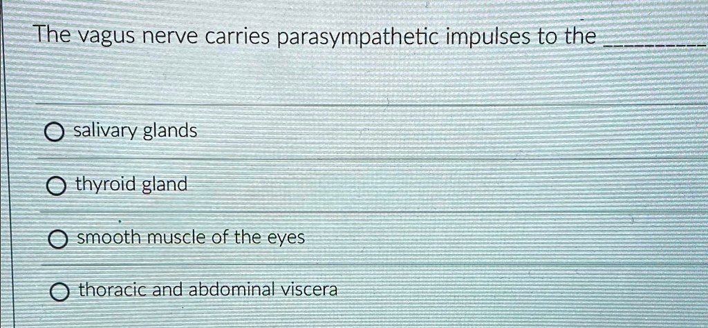 the vagus nerve carries parasympathetic impulses to the salivary glands ...