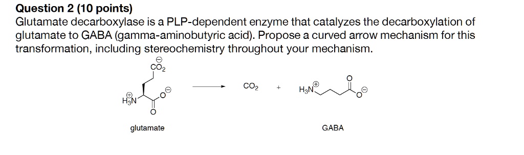 Question 2 (10 points) Glutamate decarboxylase is a PLP-dependent enzyme that catalyzes the ...