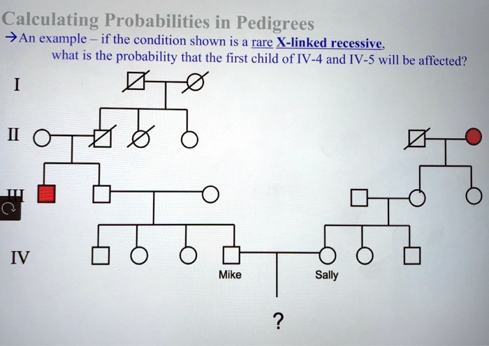 SOLVED: Calculating Probabilities in Pedigrees An example: if the ...