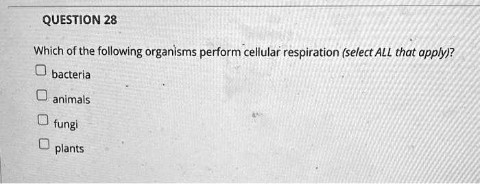 SOLVED: QUESTION 28 Which of the following organisms perform cellular ...