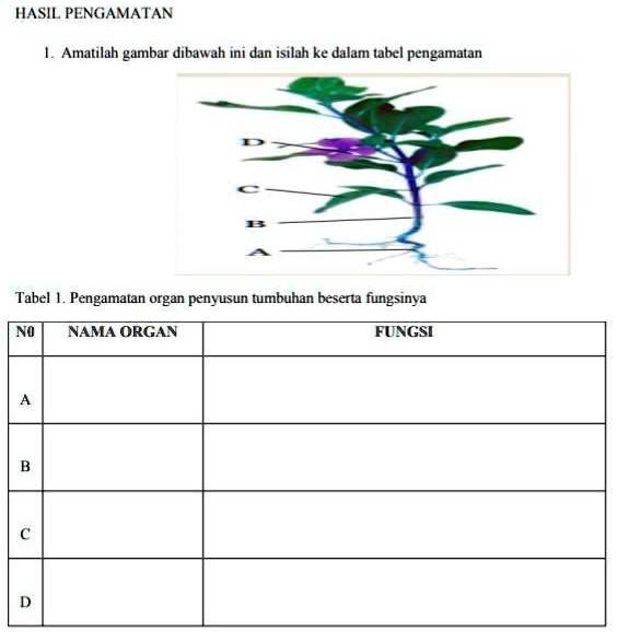 SOLVED: TOLONGIN GUEAKU MOHON HASIL PENGAMATAN Amatilah gambar dibawah ... SOLVED: TOLONGIN GUEAKU MOHON HASIL PENGAMATAN Amatilah gambar dibawah ...