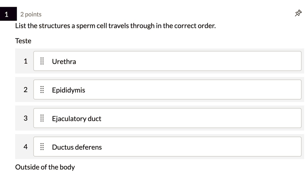 VIDEO solution: 2 points List the structures a sperm cell travels through in the correct order ...