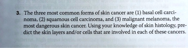 3. The three most common forms of skin cancer are (1) basal cell ...