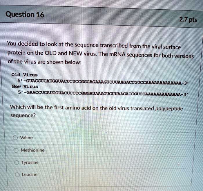 SOLVED: I decided to look at the sequence transcribed from the viral ...