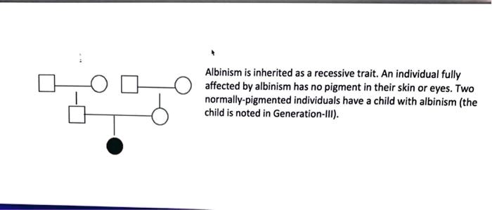 SOLVED: Albinism is inherited as a recessive trait: An individual fully ...