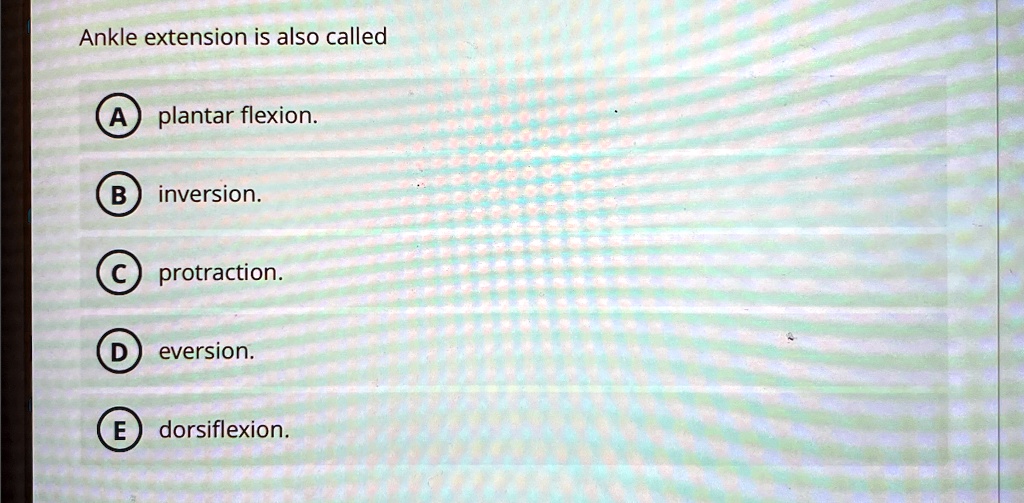 Ankle extension is also called A plantar flexion. B inversion. C ...