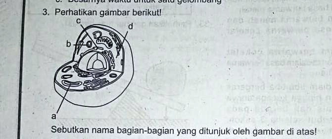 SOLVED: 3.Perhatikan gambar berikut!Sebutkan nama bagian-bagian yang ... SOLVED: 3.Perhatikan gambar berikut!Sebutkan nama bagian-bagian yang ...