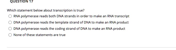 SOLVED ION 17 N Which Statement Below About Transcription Is True SOLVED ION 17 N Which Statement Below About Transcription Is True