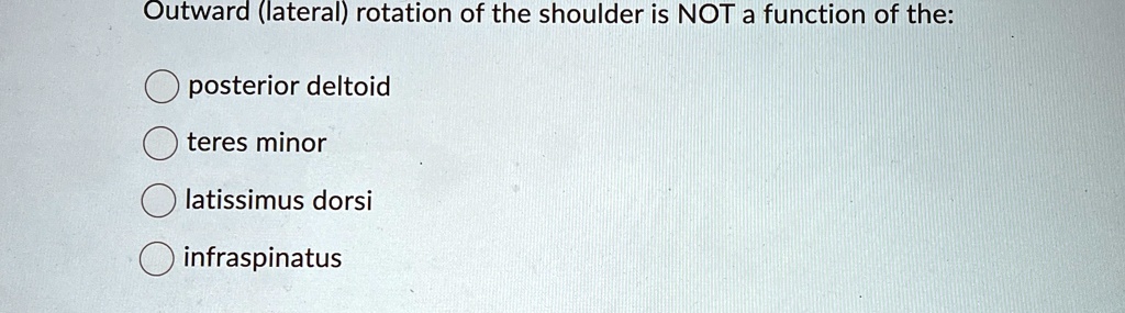 outward lateral rotation of the shoulder is not a function of the ...