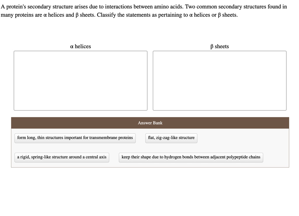 a proteins secondary structure arises due to interactions between amino acids two common ...