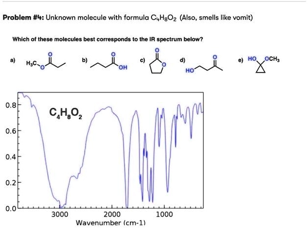 SOLVED: Texts: The answer is B, but how do I differentiate it from D ...