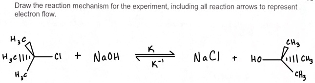 draw the reaction mechanism for the experiment including all reaction ...