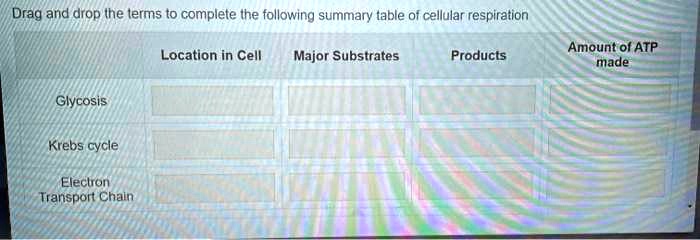 Drag and drop the terms to complete the following summary table of ...