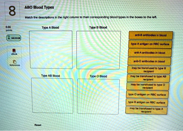 abo blood types 8 match the descriptions in the right column to their ...