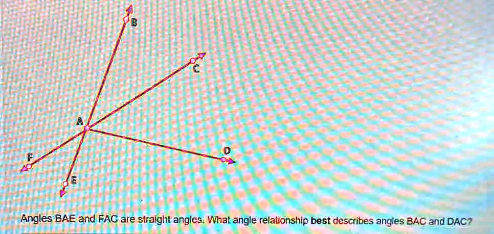 SOLVED: Angles BAE and FAC are straight angles; What angle relationship best describes angles ...