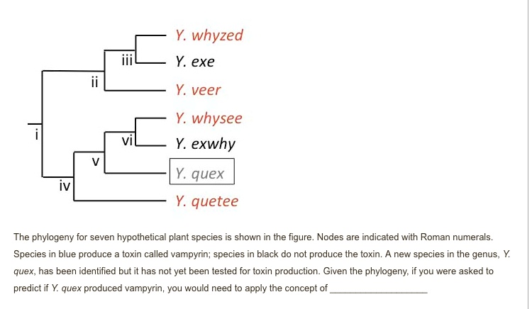 Y. whyzed iii Y. exe ii Y. veer Y. whysee i vi V Y. exwhy Y. quex iv Y ...