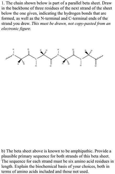 SOLVED: The chain shown below is part of a parallel beta sheet. Draw in ...