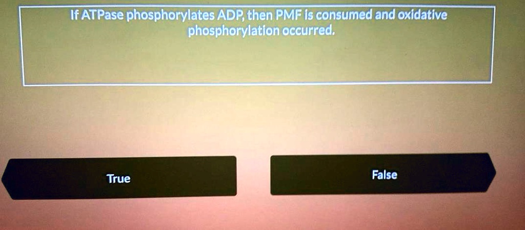 SOLVED: If ATPase phosphorylates ADP, then PMF is consumed and ...