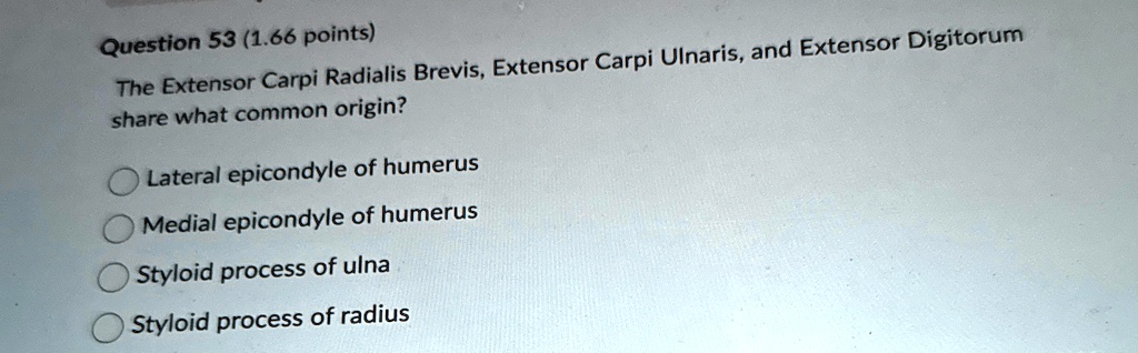 Question 53 (1.66 points) The Extensor Carpi Radialis Brevis, Extensor ...