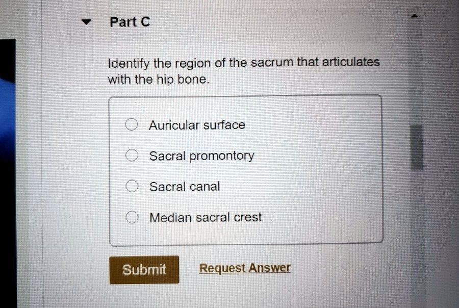 part c identify the region of the sacrum that articulates with the hip ...