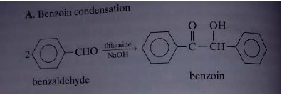 SOLVED: Benzoin condensation OH thiamine CHO NaOH CH benzoin benzaldehyde