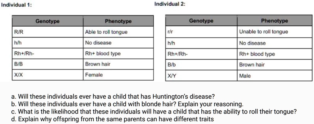 Individual 1 individual 2 genotype phenotype able t0 roll...