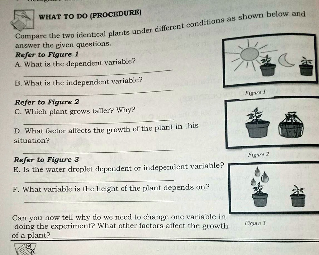 SOLVED: WHAT TO DO (PROCEDURE) Compare the two identical plants under ...
