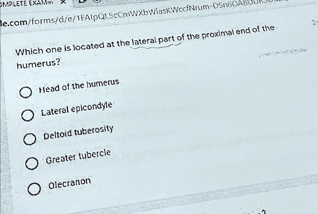 Which one is located at the lateral part of the proximal end of the ...