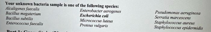 Your unknown bacteria sample is one of the following species ...