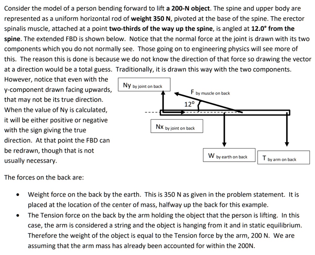 consider the model of a person bending forward to lift a 200 n object ...