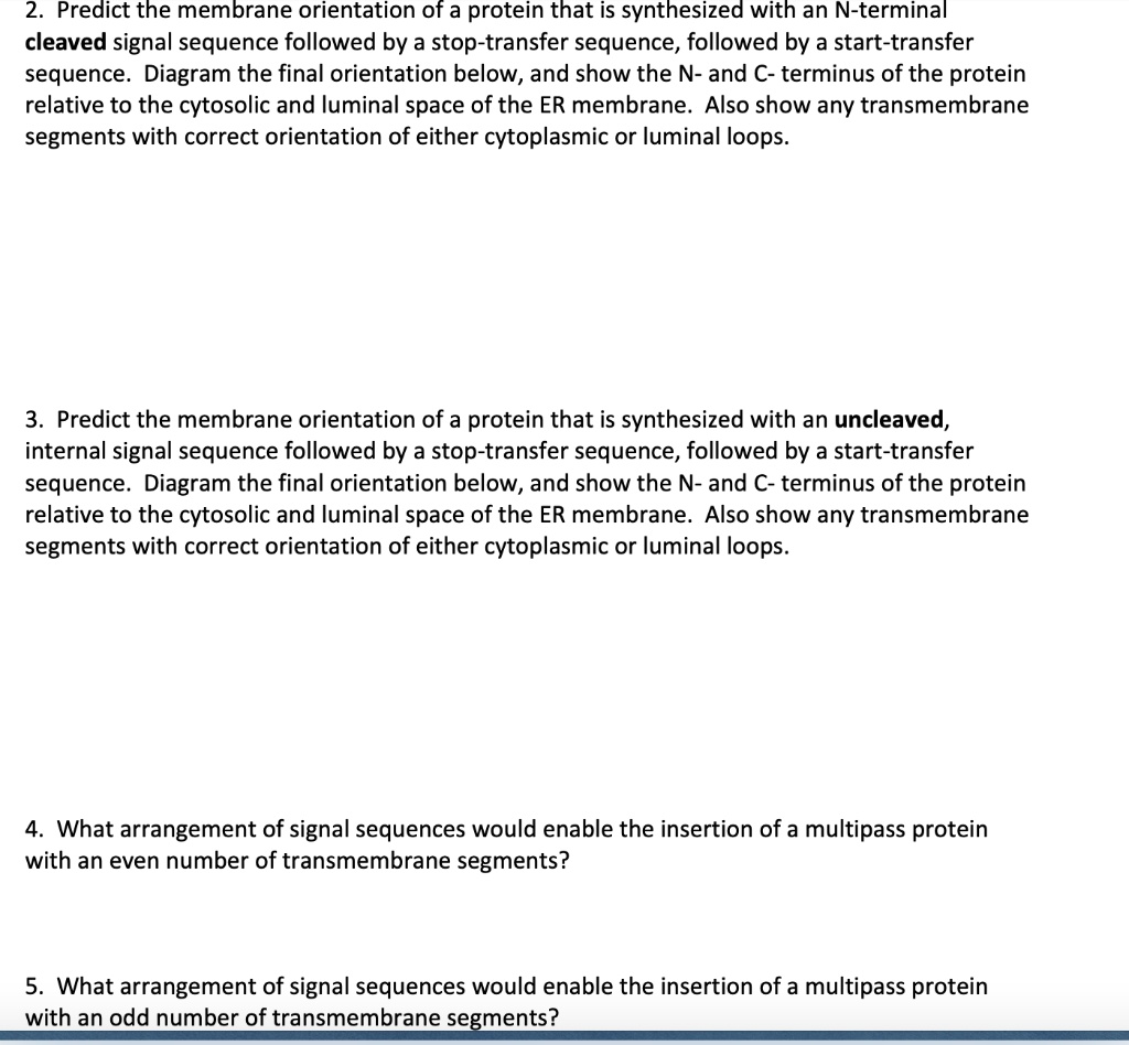 SOLVED: Predict the membrane orientation of a protein that is ...