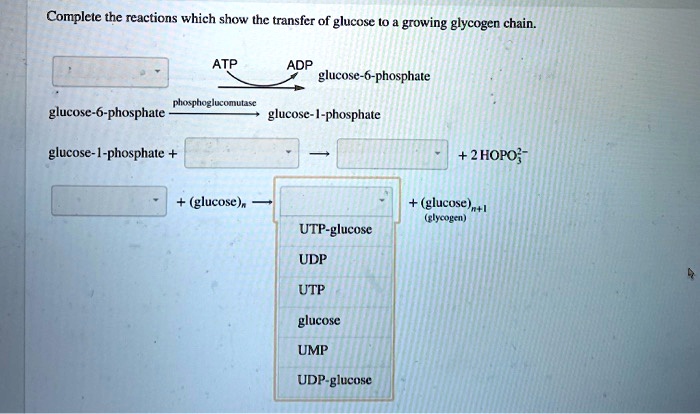 SOLVED: Complele the reactions which show thc transfer of glucose lo ...
