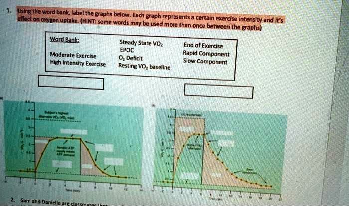 1. Using the word bank, label the graphs below. Each graph represents a ...