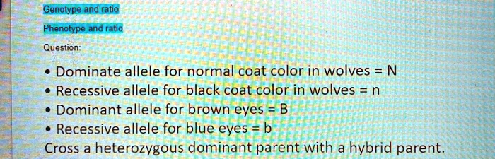 genotype and ratio phenotype and ratio question dominate allele for ...