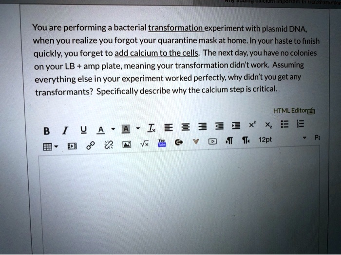 Solved You Are Performing A Bacterial Transformation Experiment With