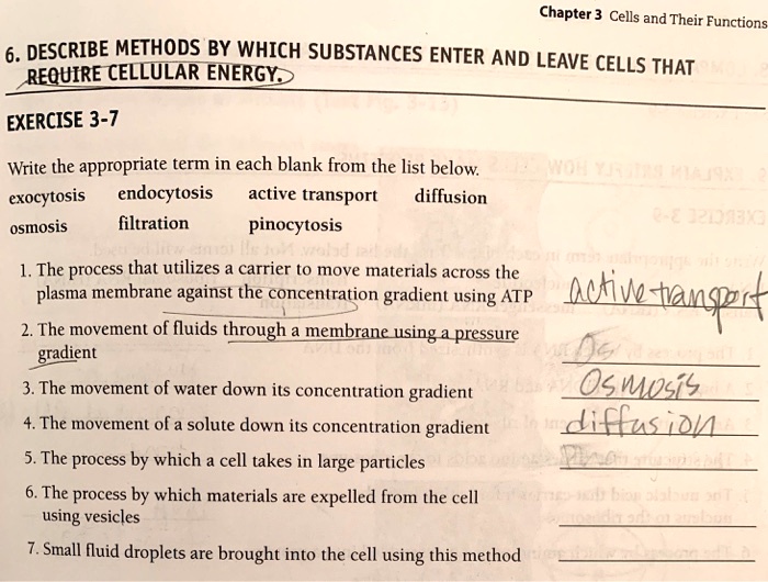Chapter 3 cells and their functions exercise 3 7 write the...